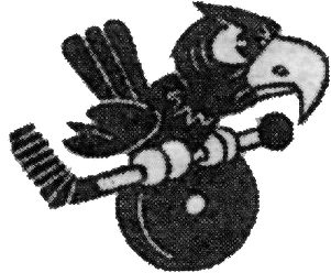 Denver Falcons | Ice Hockey Wiki | Fandom