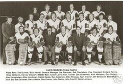 Cape Cod Cubs | Ice Hockey Wiki | Fandom