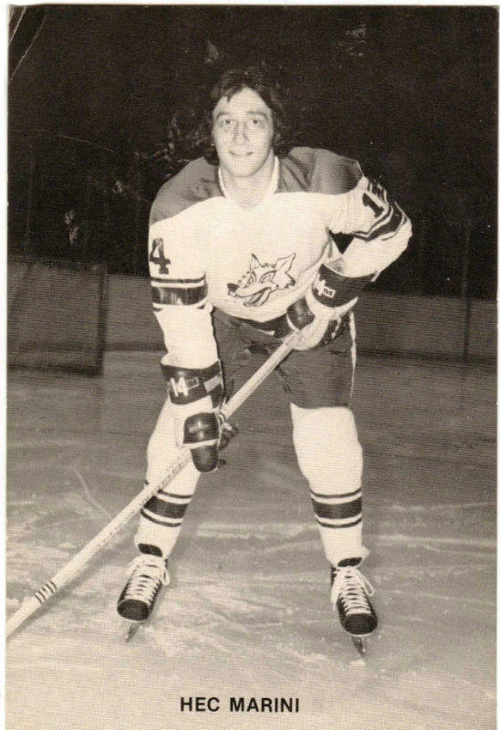 Hector Marini | Ice Hockey Wiki | Fandom