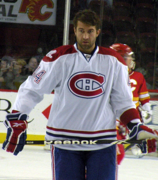 Roman Hamrlik | Ice Hockey Wiki | Fandom