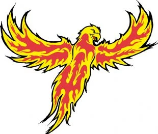 Atlanta Phoenix | Ice Hockey Wiki | Fandom