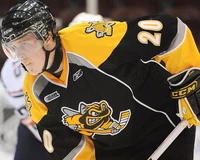 Brett Ritchie | Ice Hockey Wiki | Fandom