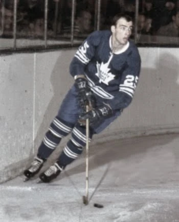 Wayne Carleton | Ice Hockey Wiki | Fandom