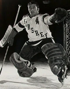 Andre Gill | Ice Hockey Wiki | Fandom