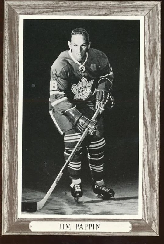 Jim Pappin | Ice Hockey Wiki | Fandom