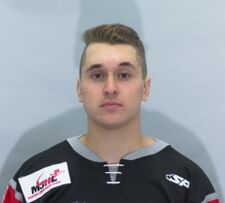 Nico Labossiere | Ice Hockey Wiki | Fandom