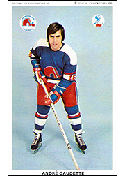 Andre Gaudette | Ice Hockey Wiki | Fandom