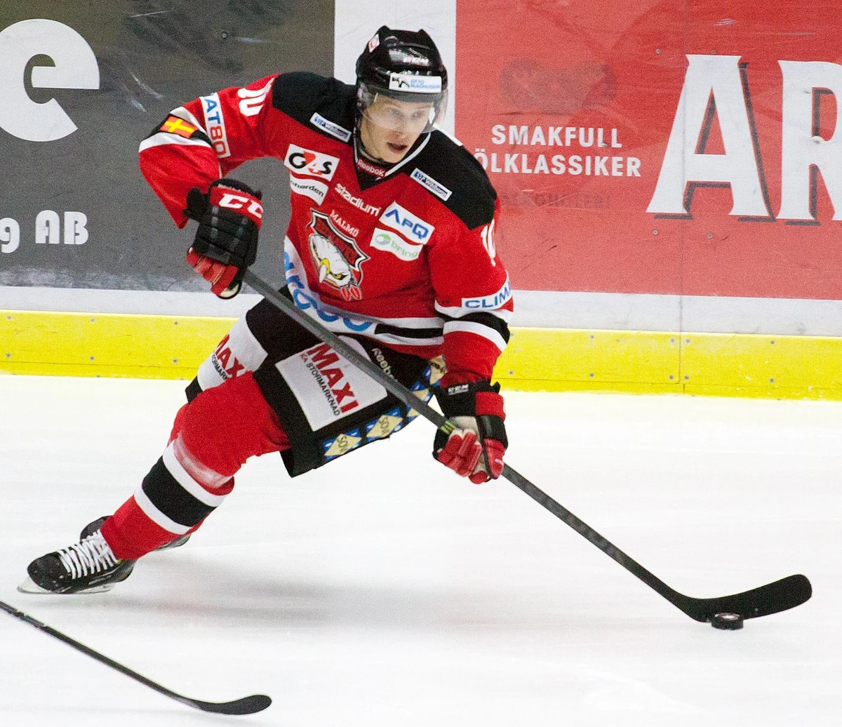 Robin Álvarez | Ice Hockey Wiki | Fandom