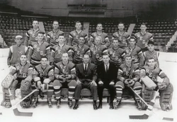 1964–65 AHL season | Ice Hockey Wiki | Fandom