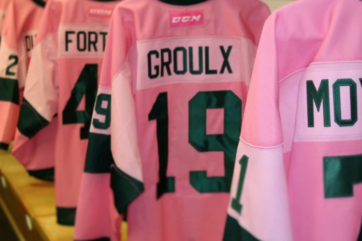 Pink in the Rink | Ice Hockey Wiki | Fandom