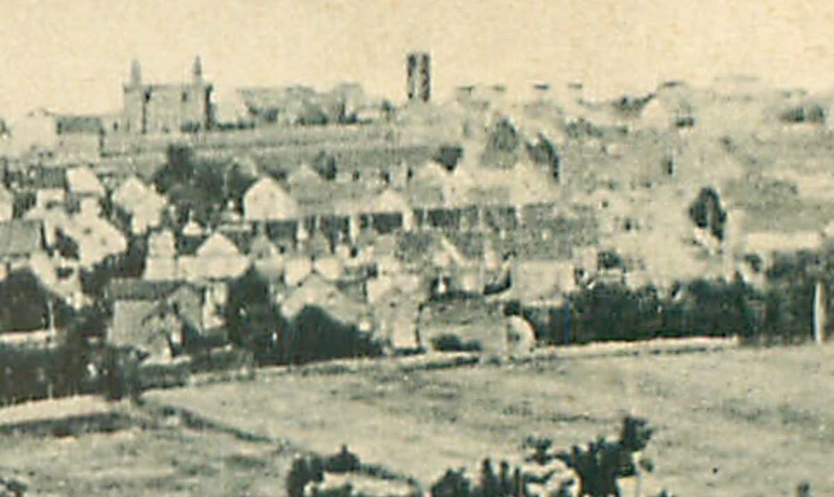 Palace Rink | Ice Hockey Wiki | Fandom