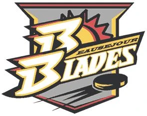 Beausejour Blades | Ice Hockey Wiki | Fandom