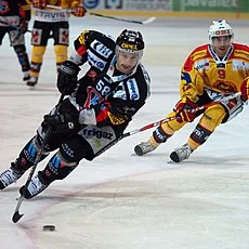 Sven Helfenstein | Ice Hockey Wiki | Fandom