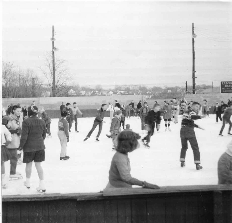 Crystal Rink | Ice Hockey Wiki | Fandom