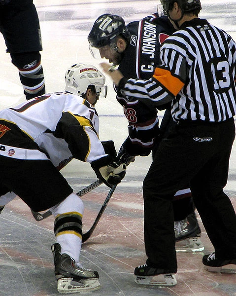 Gregg Johnson | Ice Hockey Wiki | Fandom