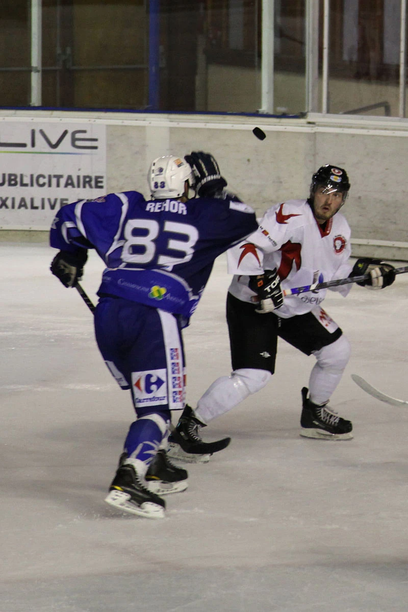 Jan Řehoř | Ice Hockey Wiki | Fandom