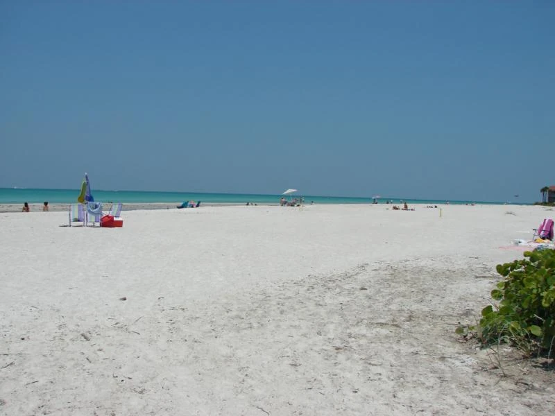 Ellenton, Florida | Ice Hockey Wiki | Fandom