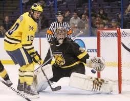 Joe Howe | Ice Hockey Wiki | Fandom