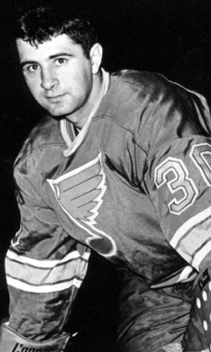 Tom Bend | Ice Hockey Wiki | Fandom