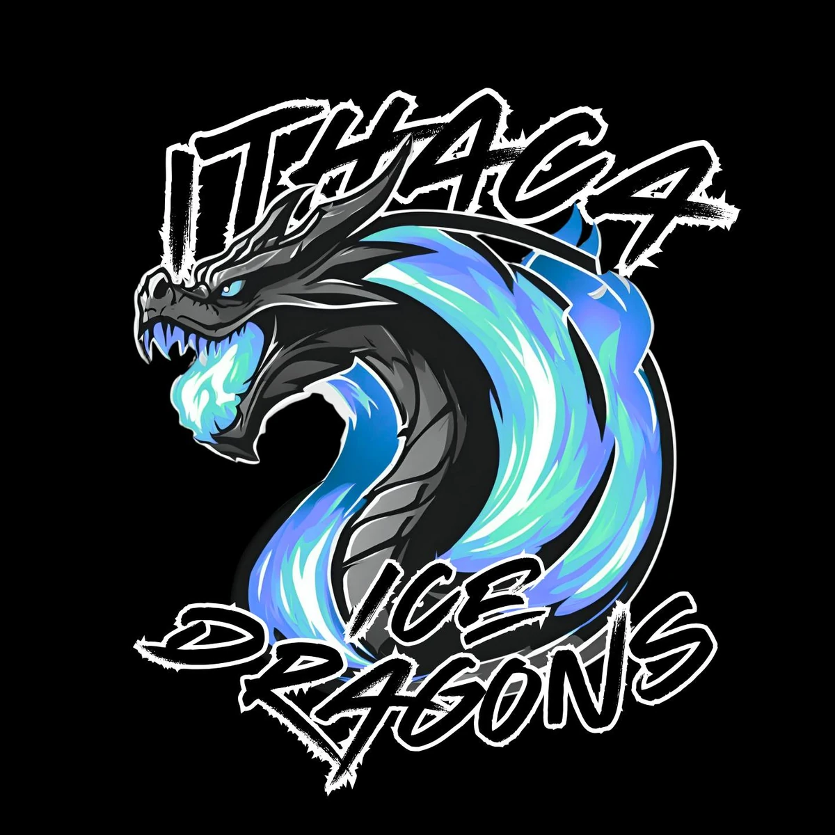 Ithaca Ice Dragons | Ice Hockey Wiki | Fandom