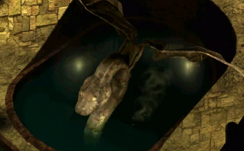 Sseth | Icewind Dale Wiki | Fandom