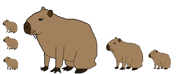 Capybara | Ichigo Momomiya's Evolution Wiki | Fandom