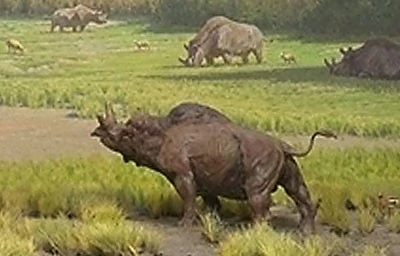 Brontotheriidae | Ichigo Momomiya's Evolution Wiki | Fandom