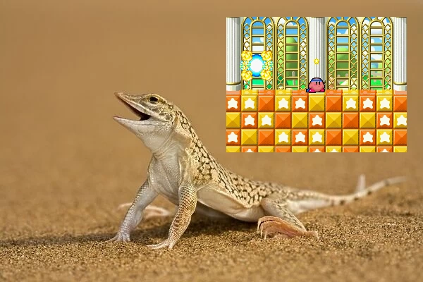 Shovel-Snouted Lizard | Ichigo Momomiya's Evolution Wiki | Fandom