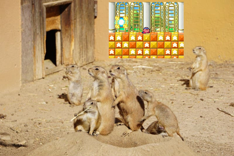 Black-Tailed Prairie Dog | Ichigo Momomiya - Primeval Havoc Wiki | Fandom