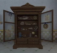Room of Rarities | Identity V Wiki | Fandom