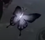 Falling Butterfly | Identity V Wiki | Fandom