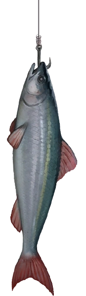 Marine Exploration Vessel/Dialogue | Identity V Wiki | Fandom