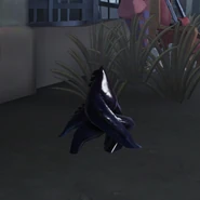 Netherwalker | Identity V Wiki | Fandom