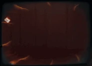 Spirit Fox | Identity V Wiki | Fandom