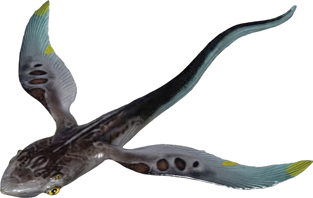 Glider Fin | Idea, science and films Wiki | Fandom