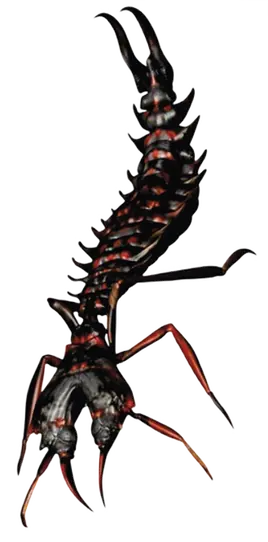 Arachnoid | Idea, science and films Wiki | Fandom