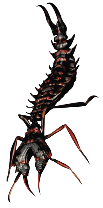 Arachnoid | Idea, science and films Wiki | Fandom