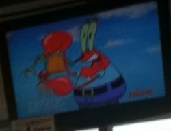 January 25, 2011 | Ideal Nickelodeon Schedule Archive Wiki | Fandom