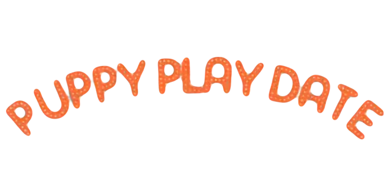 Puppyplaydate | Ideal Nickelodeon Schedule Archive Wiki | Fandom