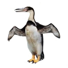 Waimanu (SciiFii) | Idea Wiki | Fandom