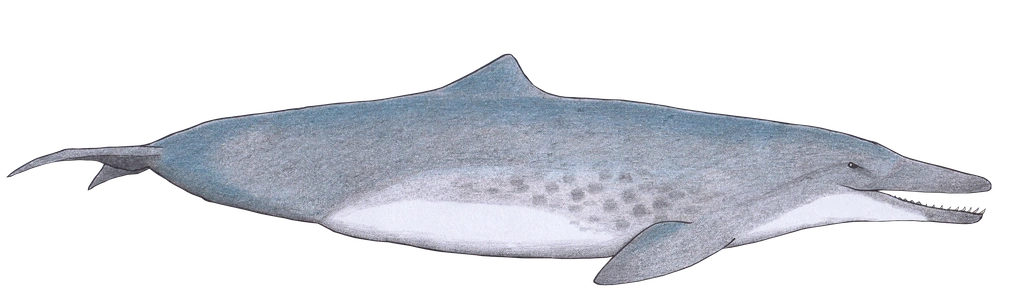 Squalodon (SciiFii) | Idea Wiki | Fandom