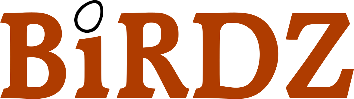 What if Nelvana Limited was founded in 1942?/Birdz | Idea Wiki | Fandom