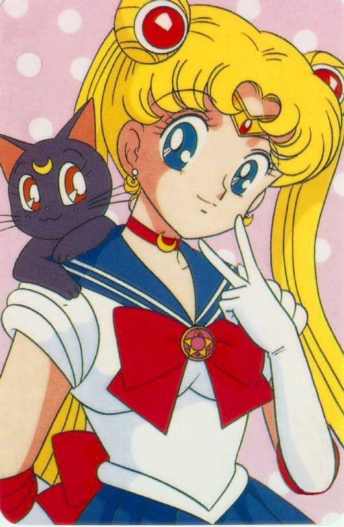 Sailor Moon and Batman: World's Finest | Idea Wiki | Fandom