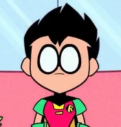 Robin | Idea Wiki | Fandom