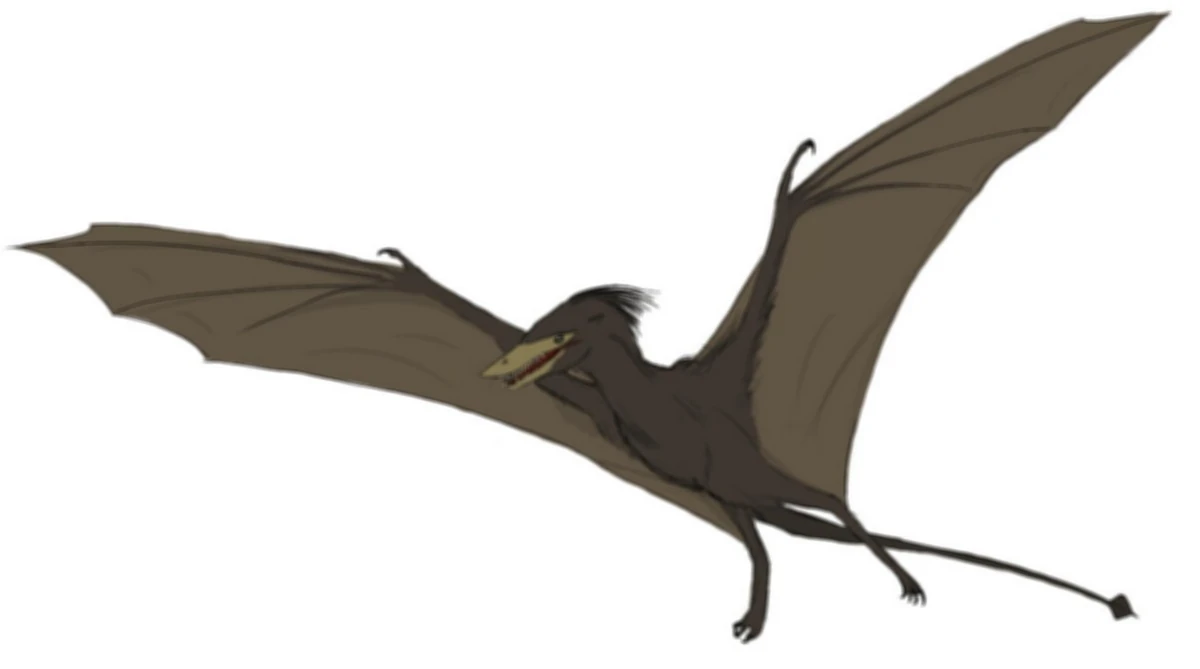 Devil bat (SciiFii) | Idea Wiki | Fandom