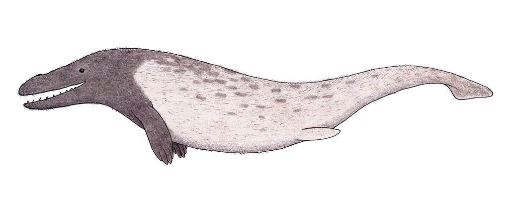 Protocetus (SciiFii) | Idea Wiki | Fandom