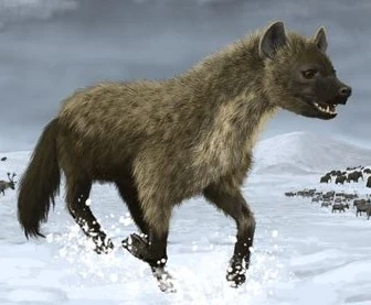 American spotted hyena (SciiFii) | Idea Wiki | Fandom