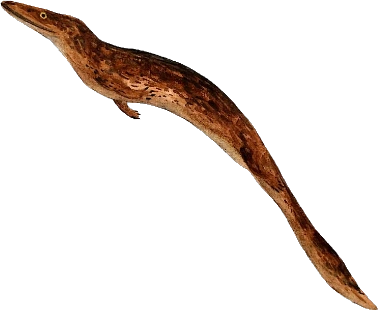 Dallasaurus (SciiFii) | Idea Wiki | Fandom