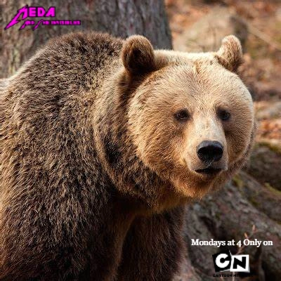 Meda & The Invisibles | Idea Wiki | Fandom