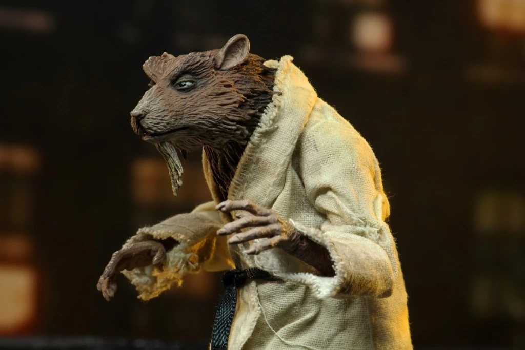 Splinter | Idea Wiki | Fandom